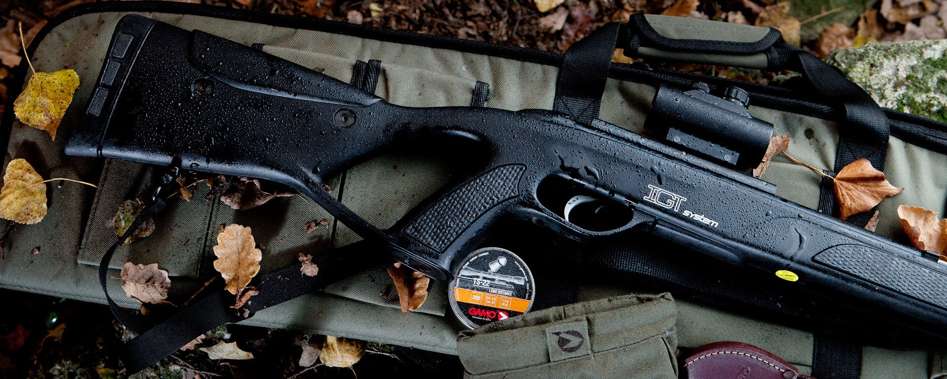 Carabine Gamo | Carabine da 4,5, 5,5, 6,35 mm e PCP fino a 24 J – Carbin