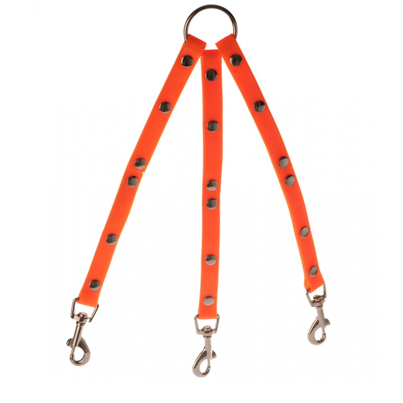 COUPLING TO CARRY 3 DOGS – Carbin